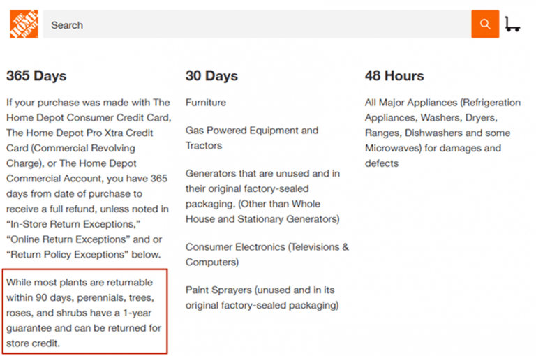 10 Examples of Store Credit for E-Commerce | Plumrocket Blog