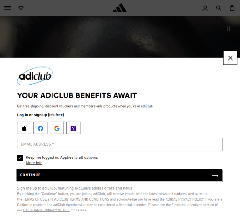 15 High-Converting Newsletter Popup Design Examples