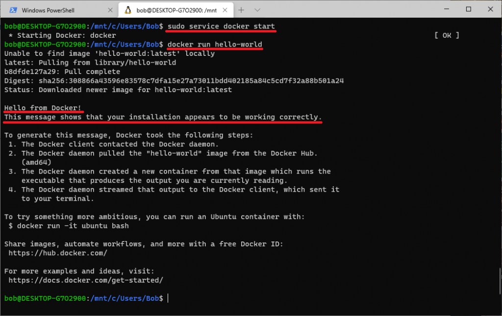 How to Install Magento 2 & WordPress on WSL2 with Docker and Devilbox - Magento Tutorials for ...